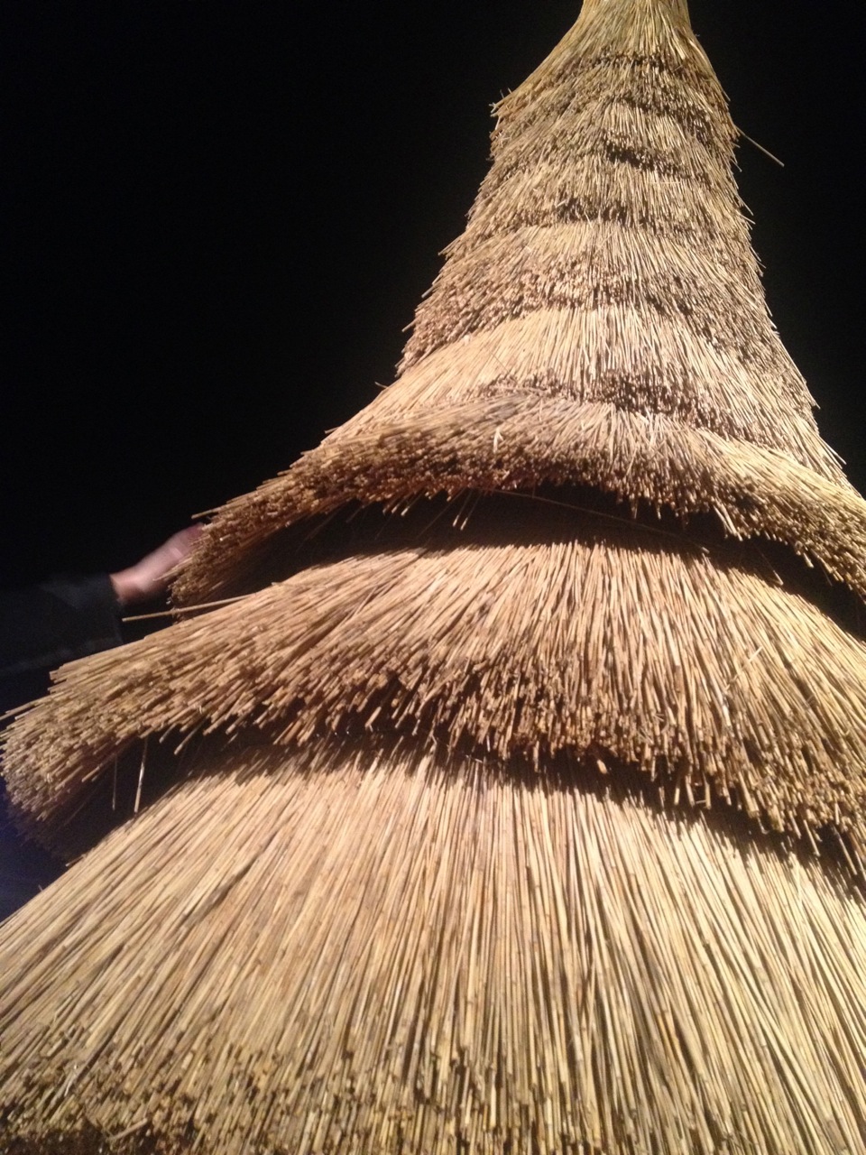 Emma Karp Lundström